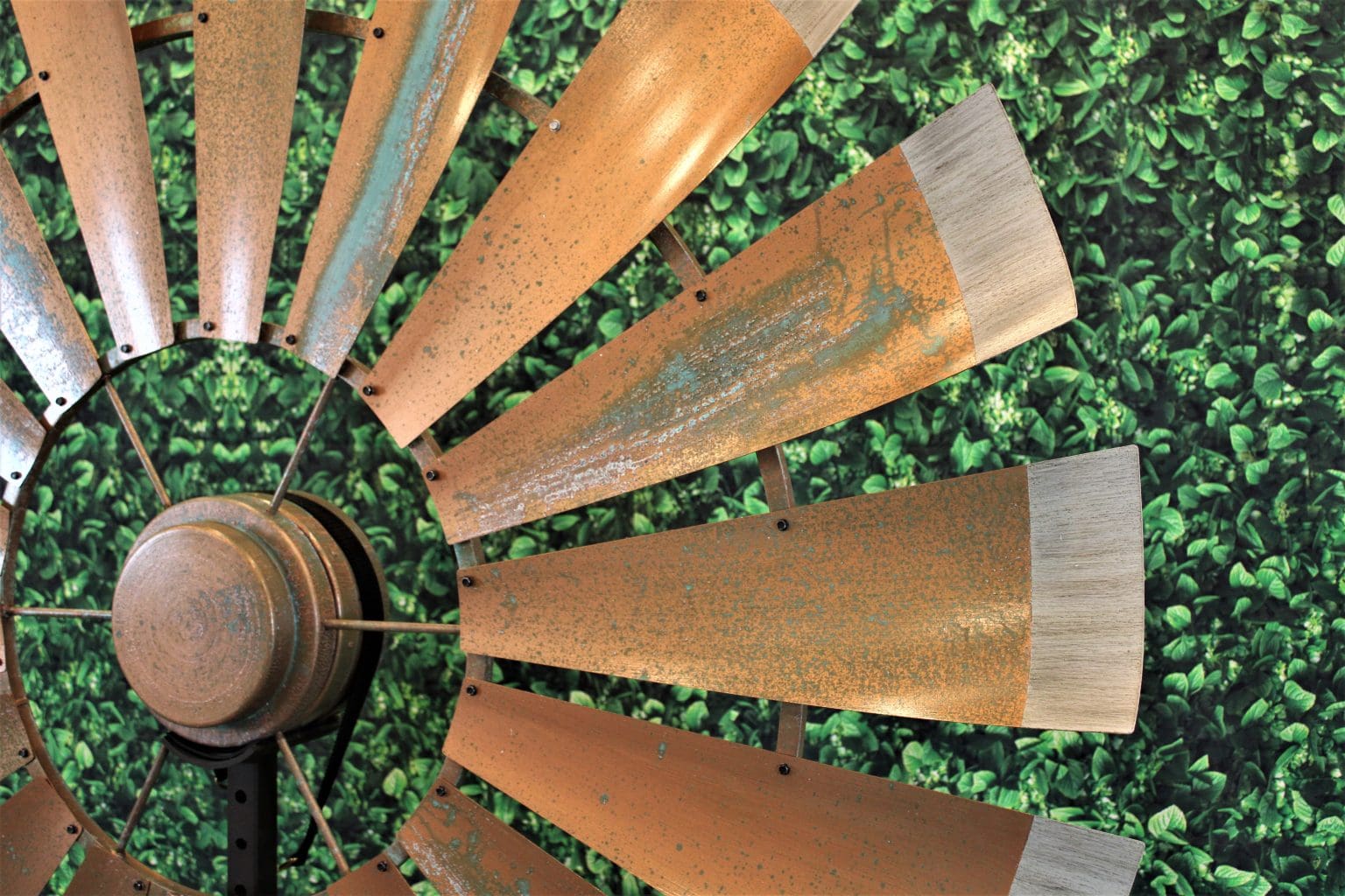 Antique Copper Patina Ceiling Fan with White Tips