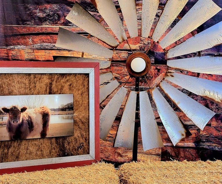 Our Custom Western Cowhide Frameworks are ALL the Rage